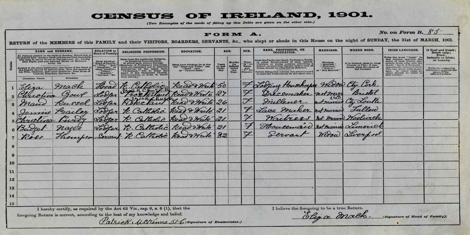 Using the 1901 Census of Ireland for Irish Ancestry Research